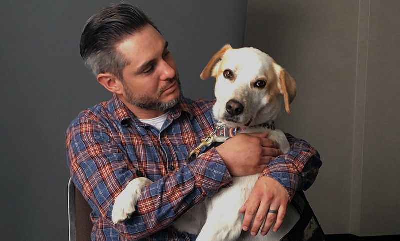 K9s For Warriors trains shelter dogs to heal PTSD Veterans, gives new ...